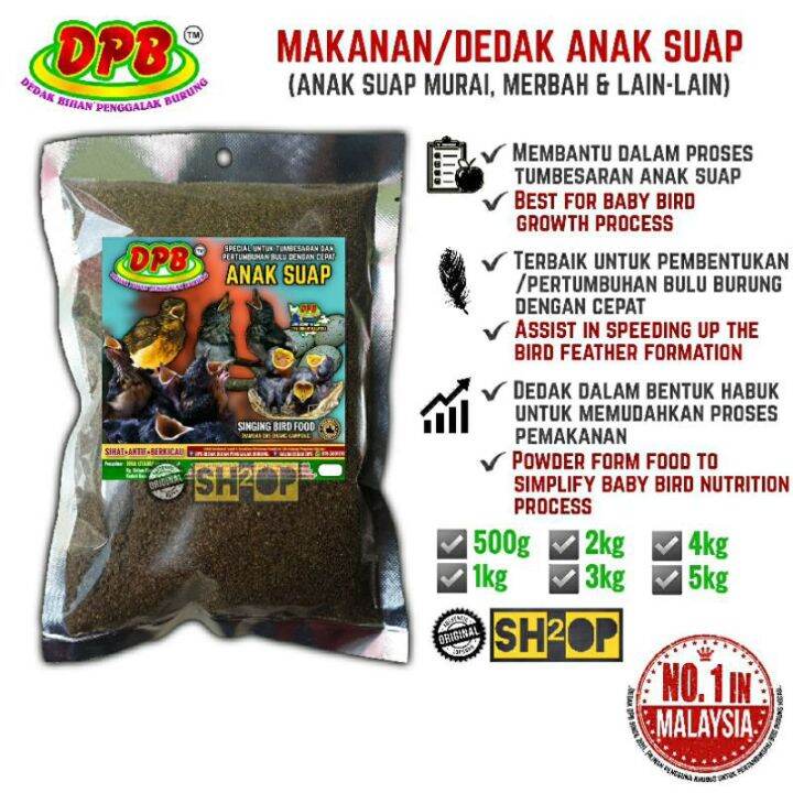 Dedak DPB Anak Suap (Makanan Anak Burung/Hand feeding baby bird food ...
