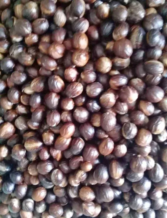 Biji pala utuh 1kg | Lazada Indonesia