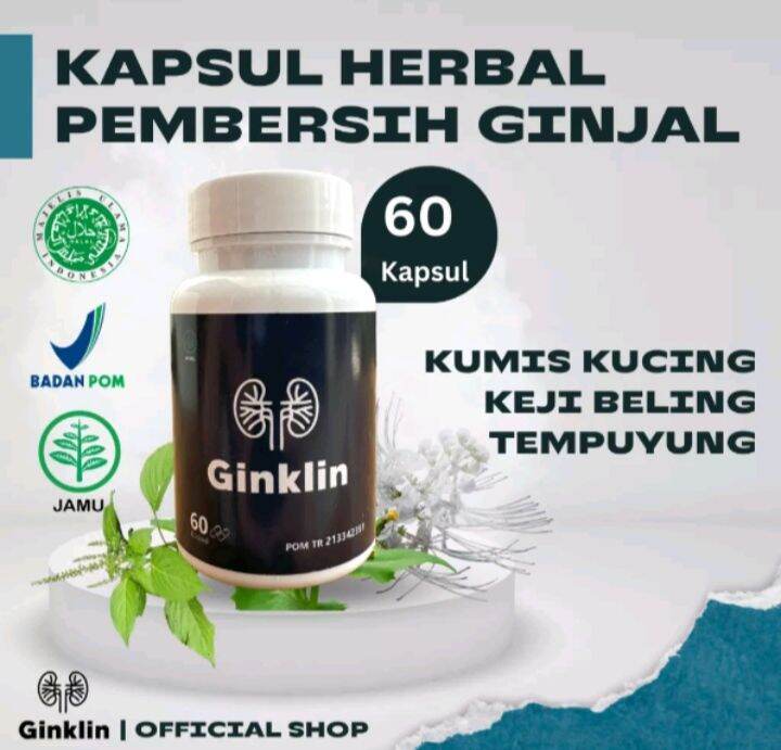 Ginklin Obat Herbal Nomor 1 yang Membantu Mengatasi Batu Ginjal dan ...