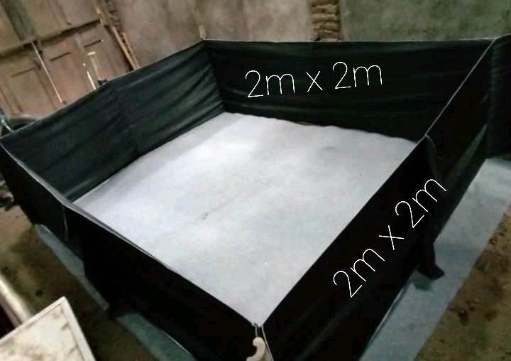 geber ayam uk 2m x 2m lubang 4/keber ayam aduan/arena ayam/keber ayam ...