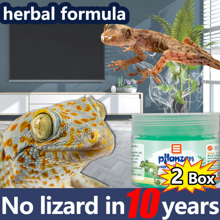 Buy 1 get 1 free 🦎BY Lizard repellent Lizard killer racun cicak paling ...