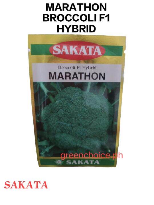 MARATHON BROCCOLI F1 HYBRID SAKATA | Lazada PH