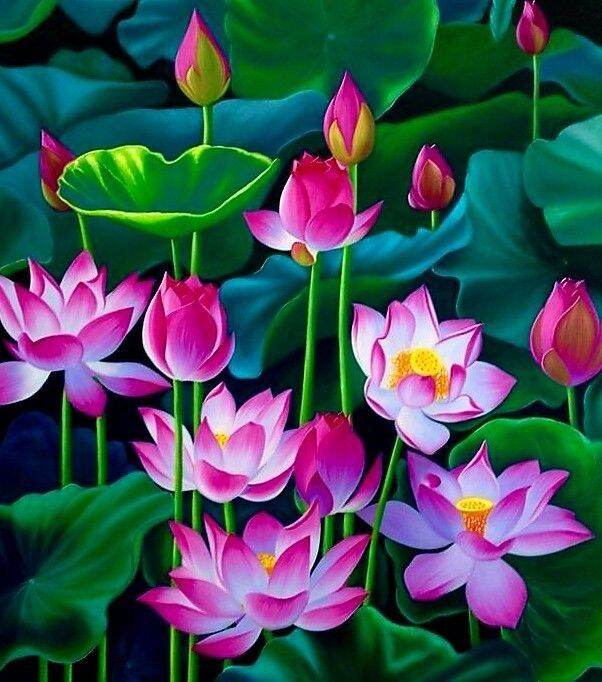 Lukisan Teratai