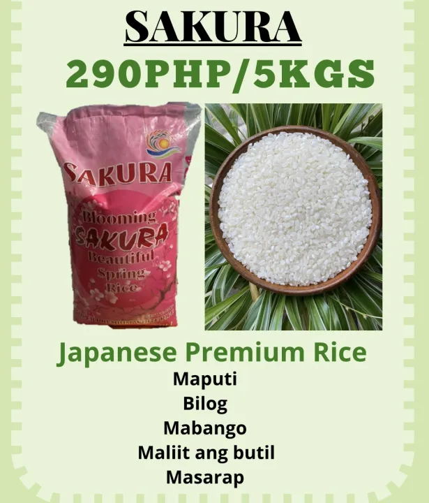 SAKURA JAPANESE RICE SUSHI RICE 5KGS. | Lazada PH