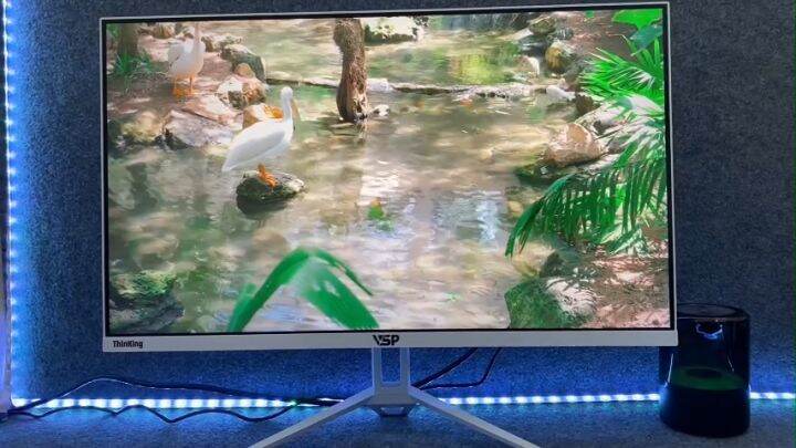 Màn hình LCD 24inch VSP V2408S (Trắng/Đen/Xanh/Hồng) tràn viền Full HD ...