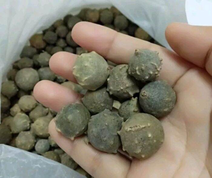 **Buah Manjakani 50gm **(Ketatkan miss v,luka bersalin,Tegangkan kulit ...