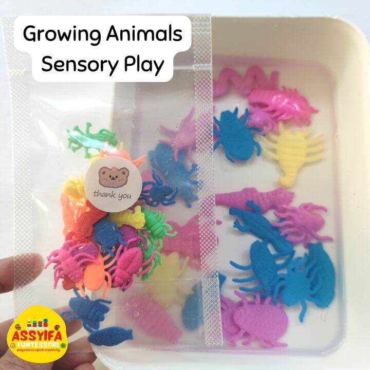 Growing animals sensory play mainan edukasi sensorik motorik anak ...