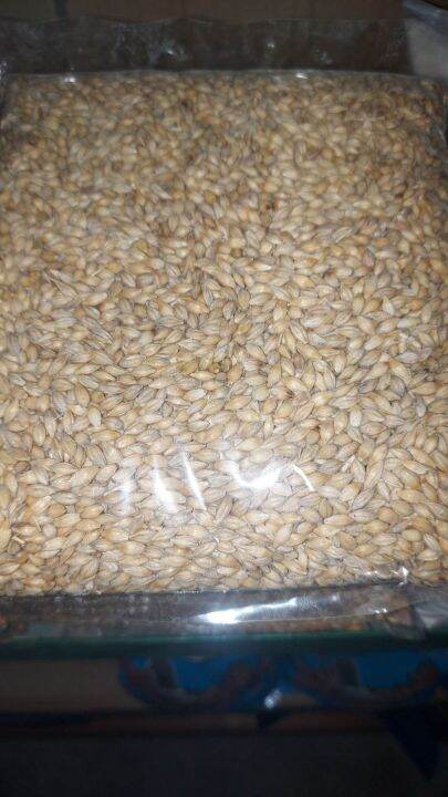 BARLEY for bird feed 1 kilo | Lazada PH