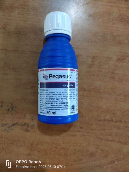INSEKTISIDA AKARISIDA PEGASUS 500SC ISI 80 MILI, OBAT PEGASUS 500SC ...