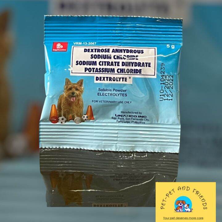 DEXTROLYTE Soluble Powder Electrolytes 5g | Lazada PH