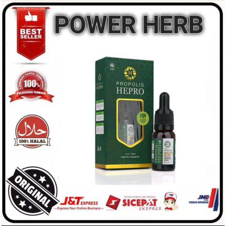 Propolis Hepro dapat membantu menjaga dan memelihara daya tahan tubuh ...