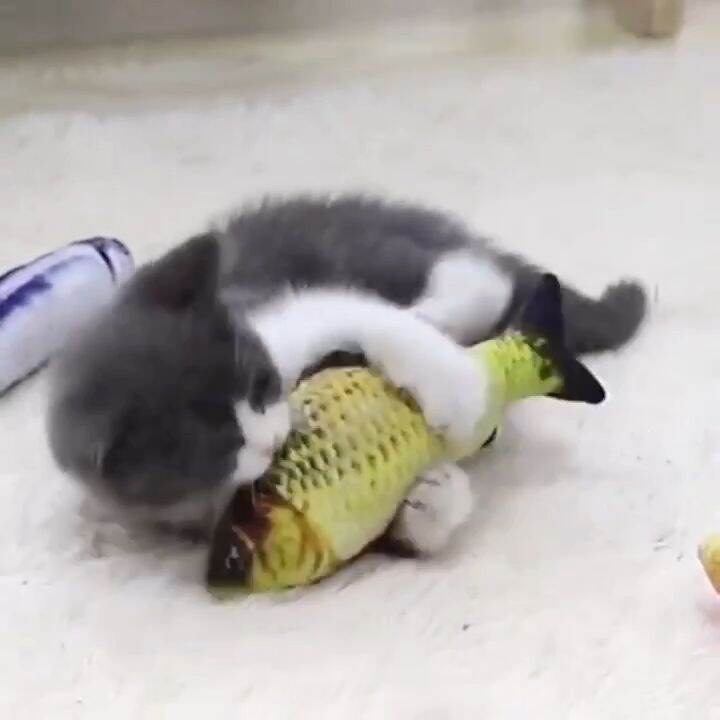 mainan kucing bentuk ikan dan catnip mainan boneka tahan gigitan mainan ...