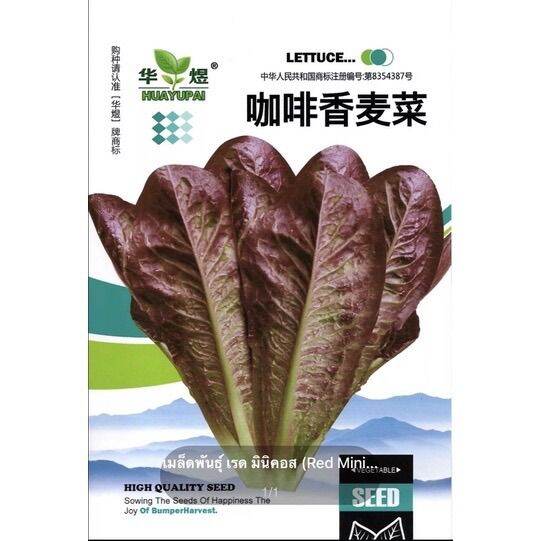 เมล็ดพันธุ์ เรด มินิคอส (Red Mini Cos) บรรจุ 3500 เมล็ด | Lazada.co.th