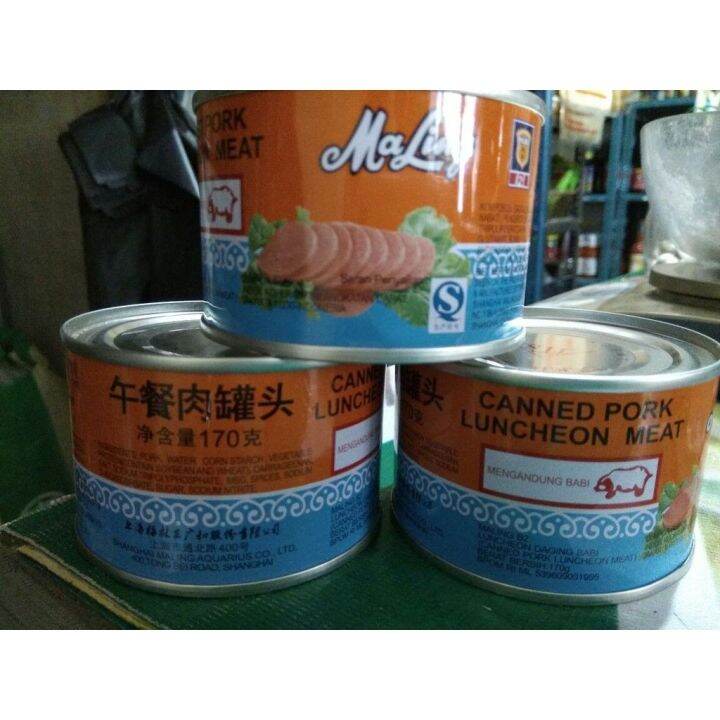 Daging MaLing B2 TTS Canned Pork Luncheon Meat 170 Gram | Lazada Indonesia