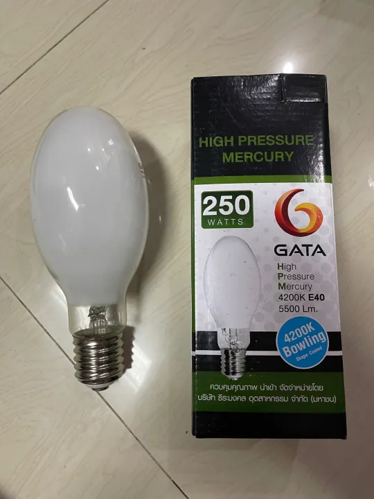 หลอดแสงจันทร์ 250w | Lazada.co.th