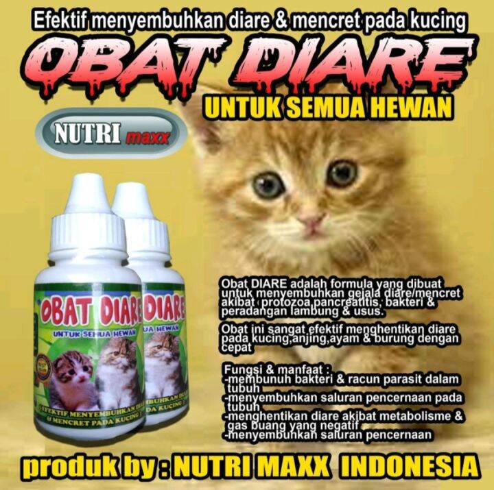 Obat diare hewan kucing dan anjing mencret neutral plus pencernaan ...