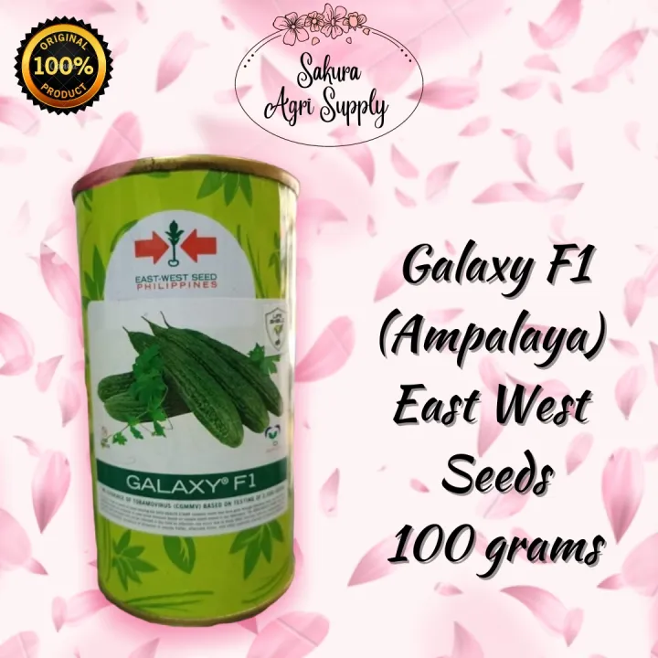 Galaxy F1 Ampalaya seeds (100g) | Lazada PH