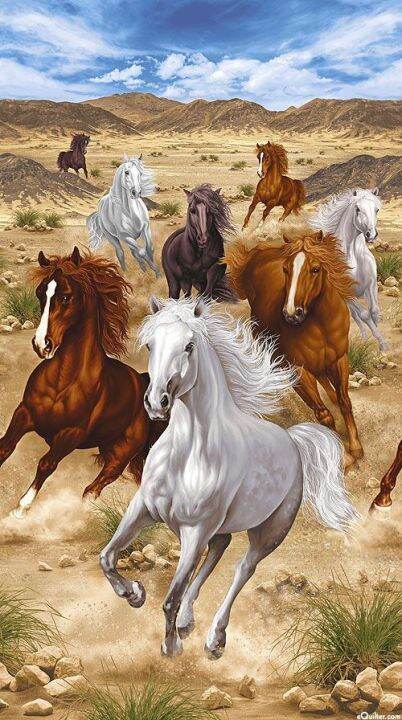 Lukisan kuda cetak, poster kuda lari, hiasan dinding gambar kuda ...