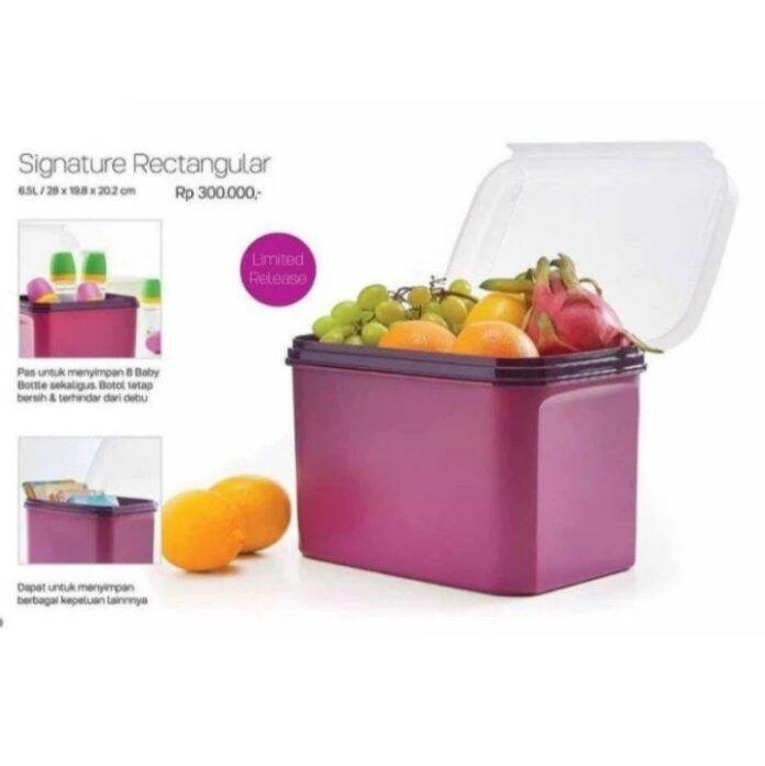 Signature Rectangular 6.5L Activity Tupperware | Lazada Indonesia