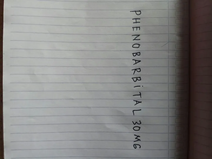 pheno 30 perlembar | Lazada Indonesia