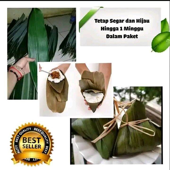 daun bambu\awi per 110 lembar trlaris | Lazada Indonesia