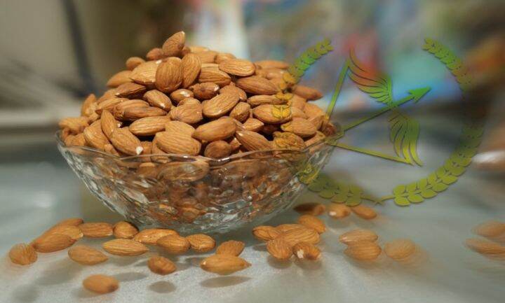 1kg Almond/Badam raw USA best quality | Lazada