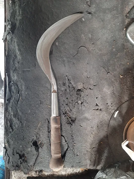 arit rumput baja per super paksi gagang hitam | jerami jagung kebun ...