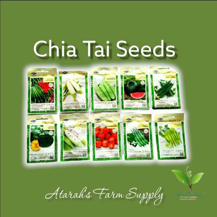 Hybrid Chia Tai Seeds | Lazada PH