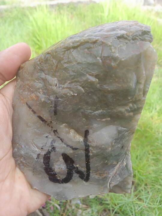 Batu Lumut Pasaman ( Rough / Bahan Batu Akik Fosil Lumut Natural ...