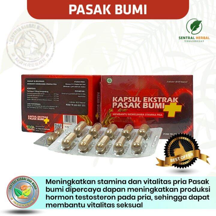 Kapsul Ekstrak Pasak Bumi Plus | Lazada Indonesia