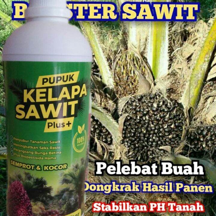 Pupuk Kelapa Sawit Pelebat Buah Pupuk Sawit Plus Biopestisida 1Liter ... Pupuk Kelapa Sawit Pelebat Buah Pupuk Sawit Plus Biopestisida 1Liter ...
