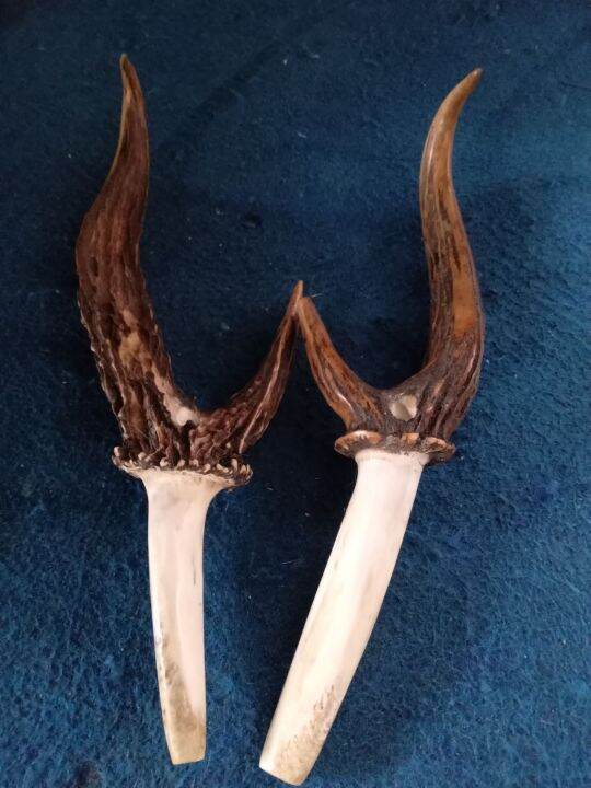 once pipa rokok tanduk rusa cabang 2 | Lazada Indonesia