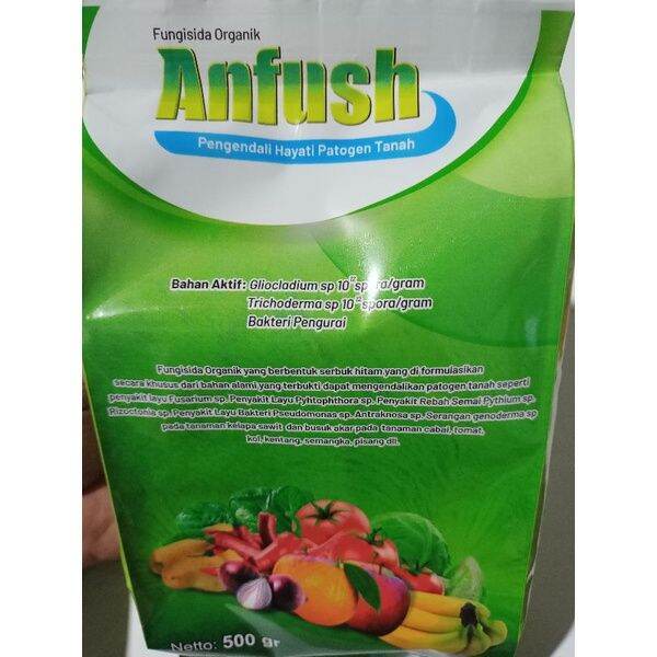 Anfush kmsn 500 gr, fungisida hayati trichoderma +Gliocladium ... Anfush kmsn 500 gr, fungisida hayati trichoderma +Gliocladium ...