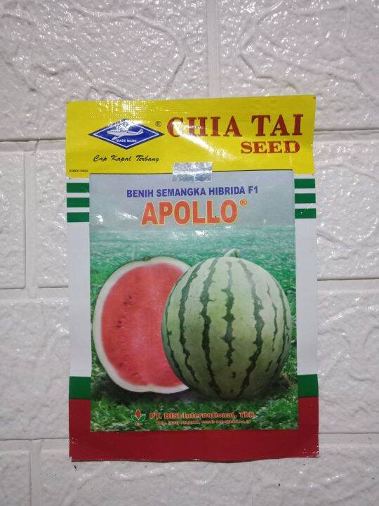 10 Biji - Benih Semangka Hibrida F1 APOLLO, rasa manis segar | Lazada ...