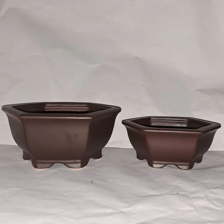 pot bonsai keramik lokal segi enam | Lazada Indonesia