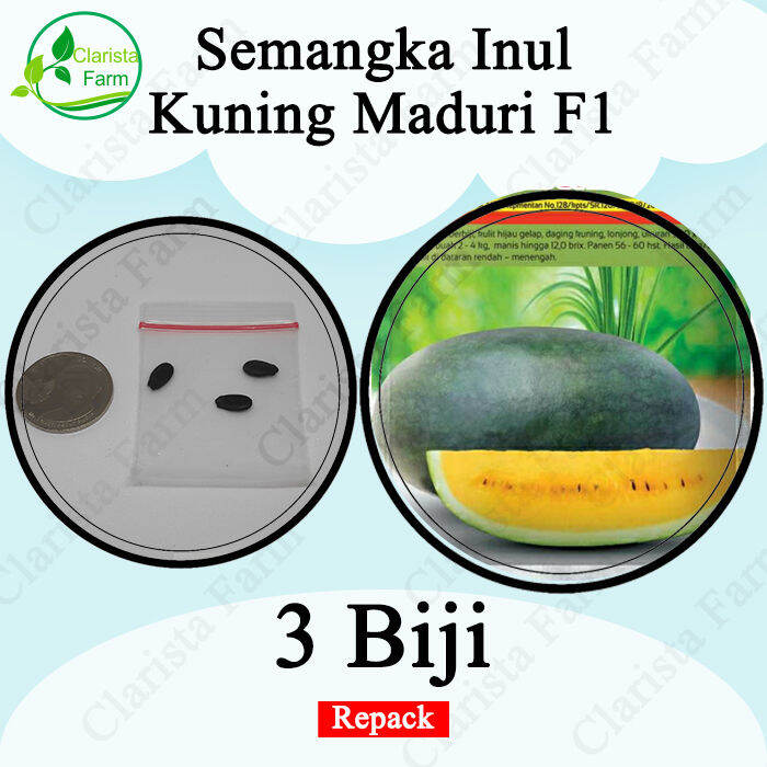 BENIH BIBIT SEMANGKA INUL KUNING MADURI F1 REPACK CAP BINTANG ASIA ...