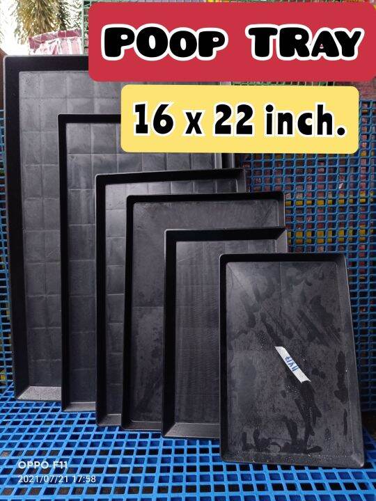 Poop tray 16x22 inch heavy duty | Lazada PH