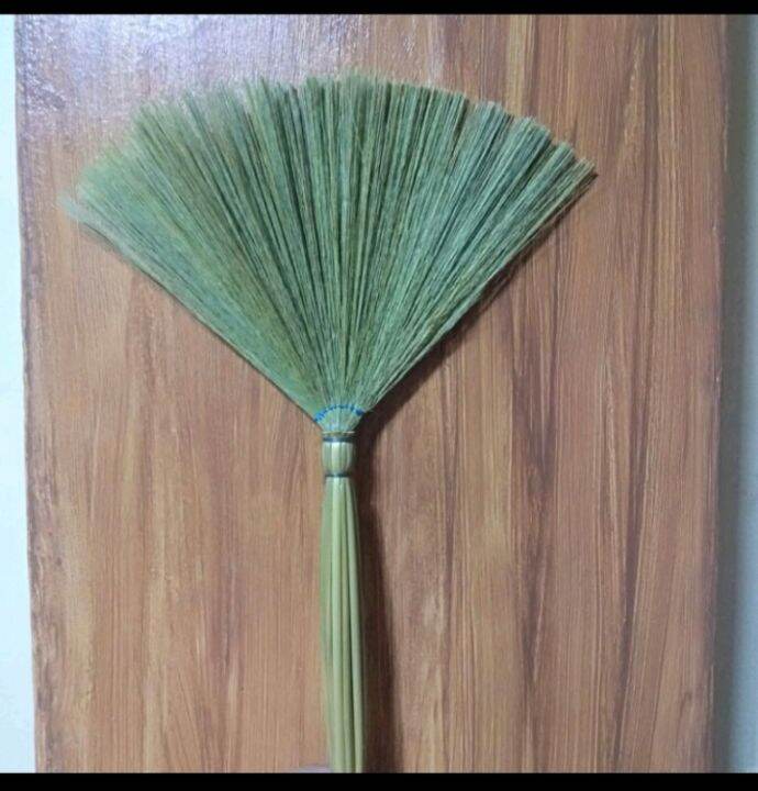 Small Walis Tambo 12 inches soft broom | Lazada PH