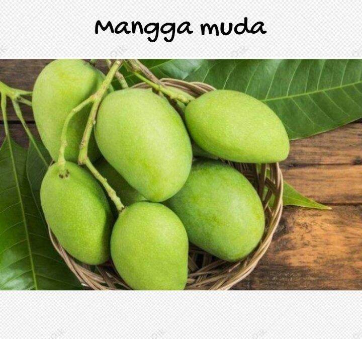 Buah mangga muda segar 1 kilo buah ngidam buah asem | Lazada Indonesia