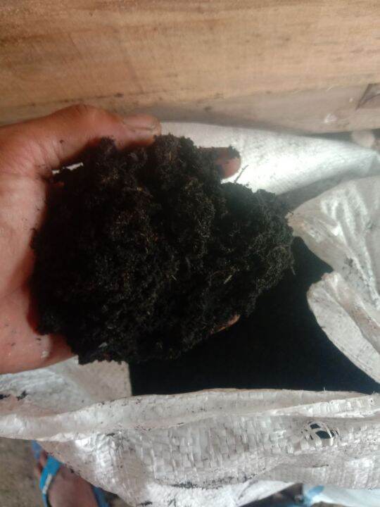 blotong ampas tebu 5kg | Lazada Indonesia