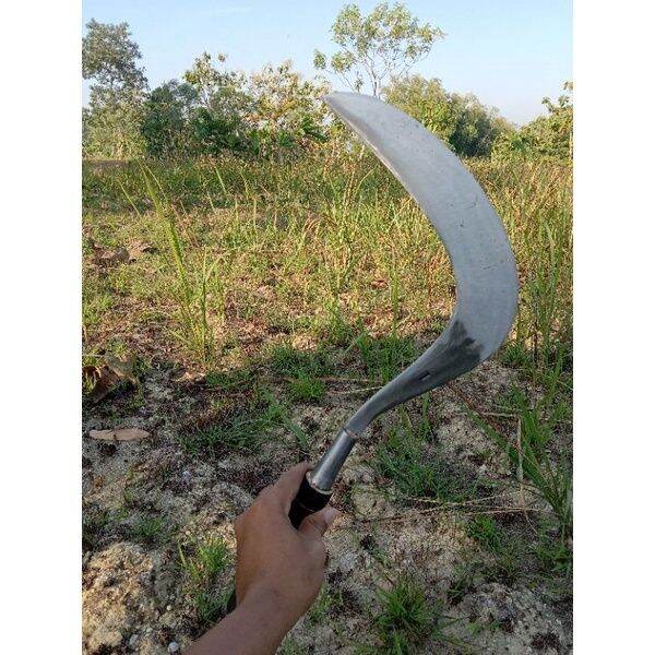 [[ BAYAR DI TEMPAT ]] Sabit baja per 35 cm peralatan kebu / alat ...