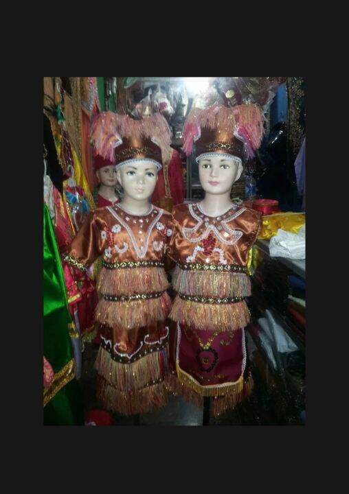Baju adat Papua anak TK & SD // Pakaian adat Papua anak2 | Lazada Indonesia Baju adat Papua anak TK & SD // Pakaian adat Papua anak2 | Lazada Indonesia
