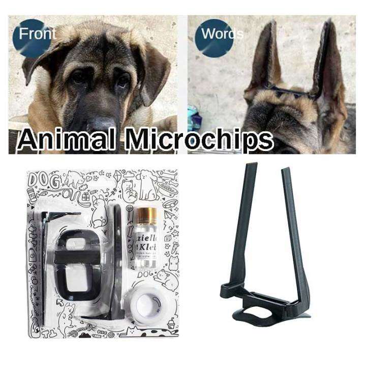 Dog Ear Lifter Dog Ear Correction Lifter Dog Ear Raise Tool For ...