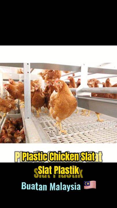 Chicken Slat/ Slat Plastik/ Plastic Chicken Slat/ Poultry Plastic ...