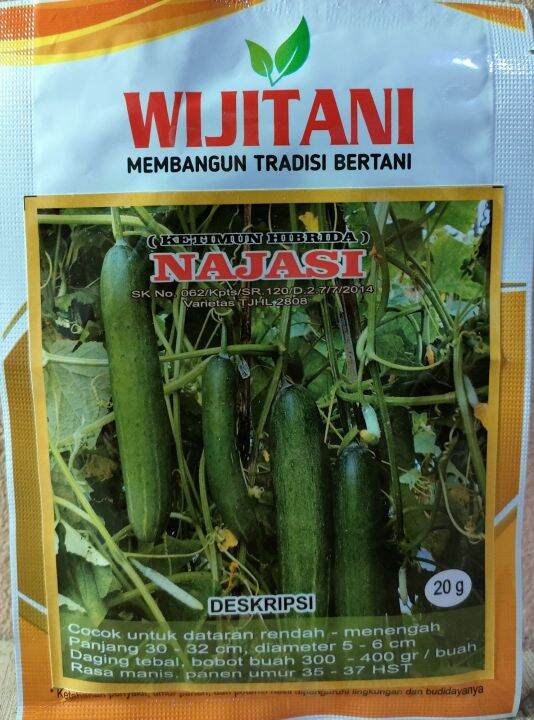 Benih Timun Hibrida NAJASI 20gram | Lazada Indonesia