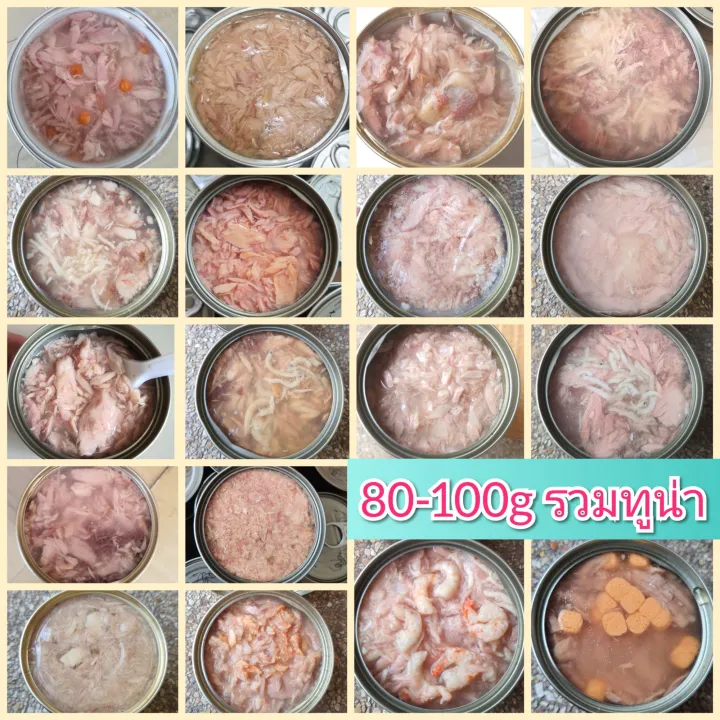 🐟 รวมทูน่า 80-100g 🐟 | Lazada.co.th