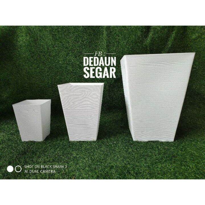 Pasu Putih Viral | Lazada