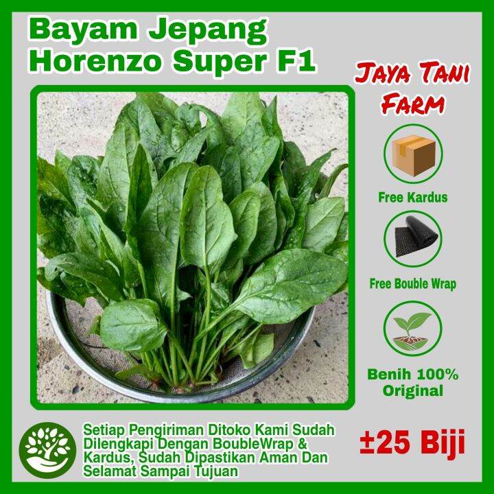25 Biji Benih Bayam Jepang Super Horenzo Hibrida / Benih Sayuran Bayam ...