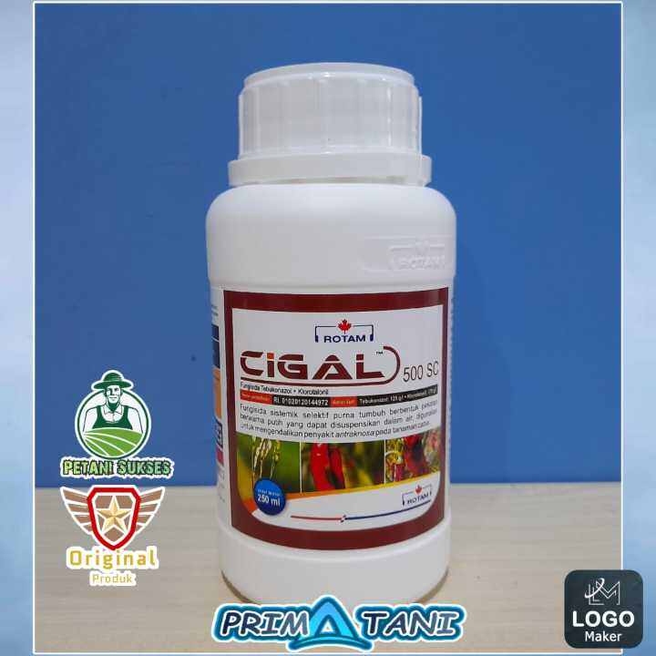 Fungisida CIGAL 500SC 250ML | Lazada Indonesia
