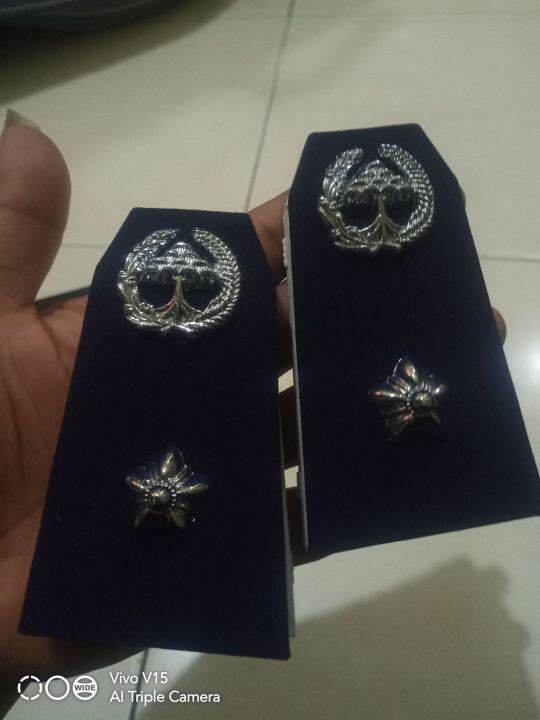 Pangkat Pdu Lurah Exclusive / Pangkat Pdu Kades | Lazada Indonesia